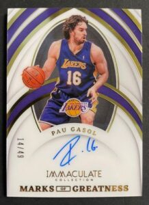 Pau Gasol - Hall of Fame Basketball Player